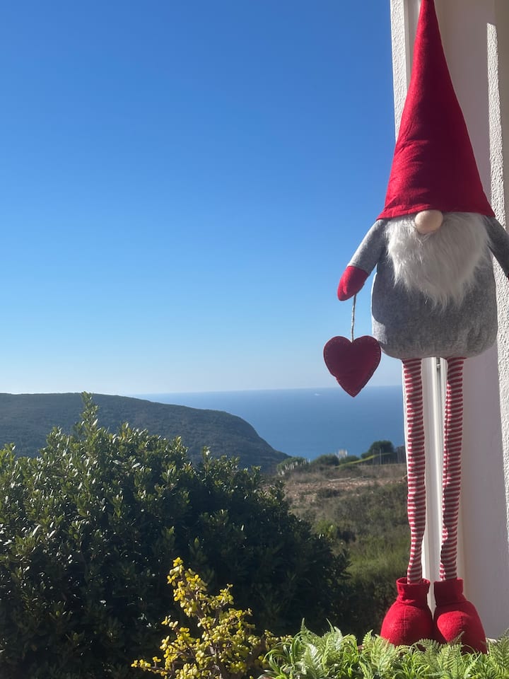 Arrifana Beach - Aljezur