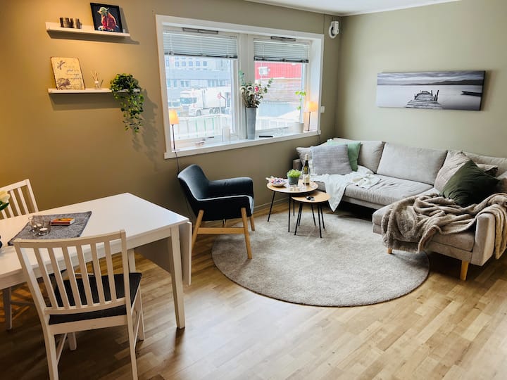 Cozy Central Apartment - 트롬쇠