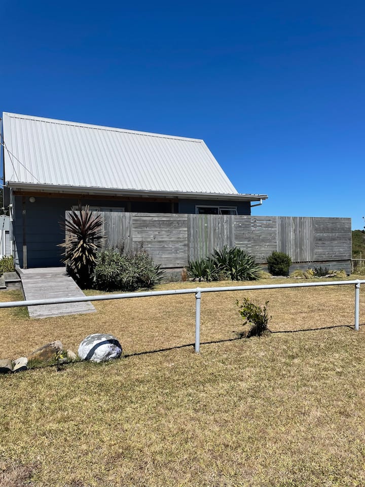 Whitiwhitia E Te Rā - Transformed By The Sun - Levin