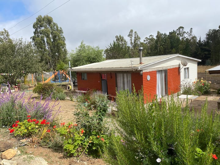Campito Para 6 A 10 Min Auto Playa - Pichilemu