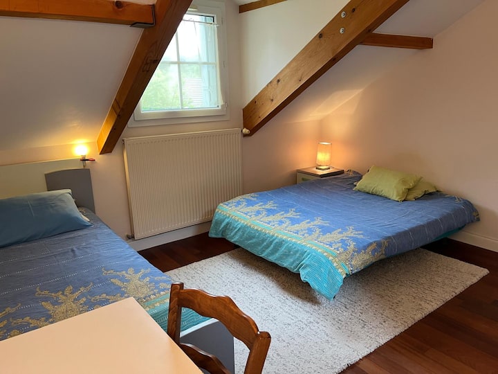 Chambre Bleue + Sbd Partagée - Divonne-les-Bains