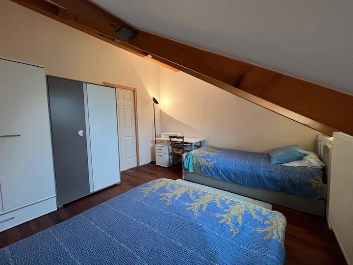 Chambre Bleue + Sbd Partagée - Divonne-les-Bains