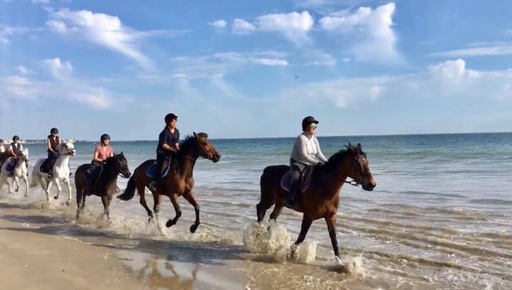 Appart Didier La Baule - La Baule-Escoublac