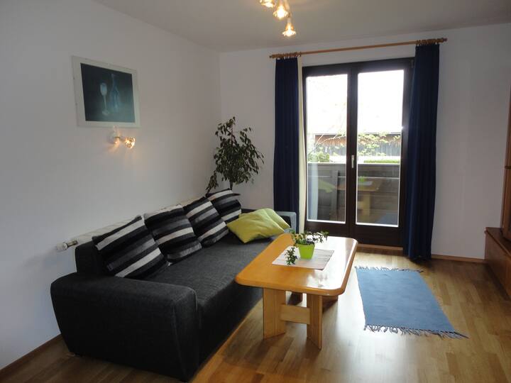 Ferienwohnung Ronacher 2-5 P Abtenau Land Salzburg - Abtenau