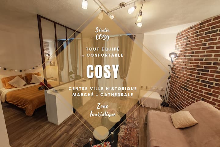 Studio Cosy Au Cœur D’albi - Albi