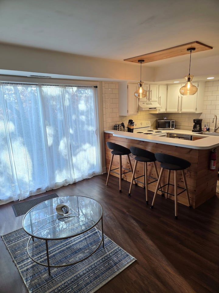 The Bistro Westside Townhouse | 1bd/1bth & Patio - Twin Lakes, Kalamazoo