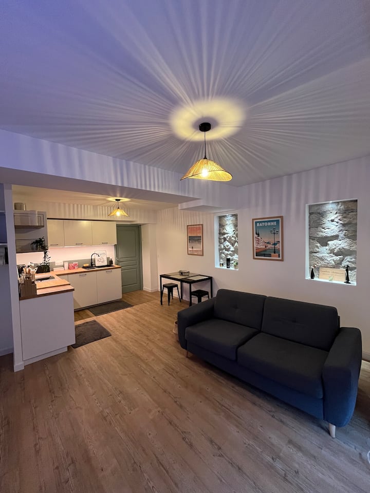 Charmant T2 Bayonnais - Bayonne