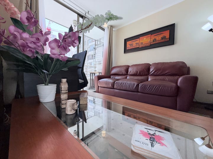 Apartamento Seguro Y Hermoso 5* Pasos Providencia - Santiago