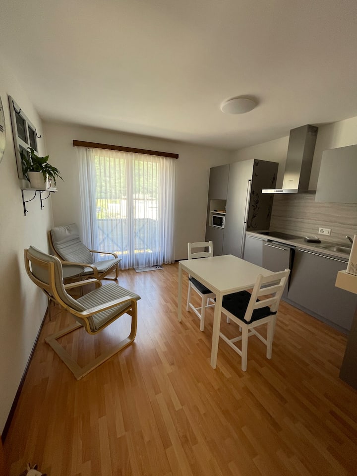 Appartamento A Uso Privato Prezzo Fr.105.- A Notte - Kanton Tessin