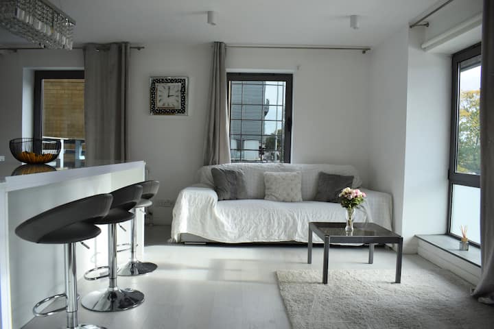 Amazing Two Bedroom Apartment With A Riverview - Glasgow