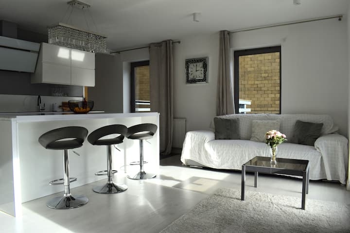 Amazing Two Bedroom Apartment With A Riverview - Glasgow