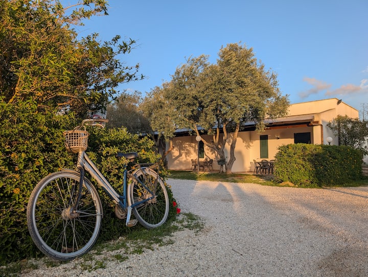 Lilybeo Village Marsala - Marsala