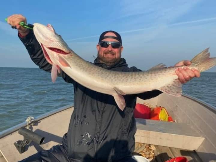 2 Br Upper Creekside Cottage Near Lake St Clair - Lakeshore