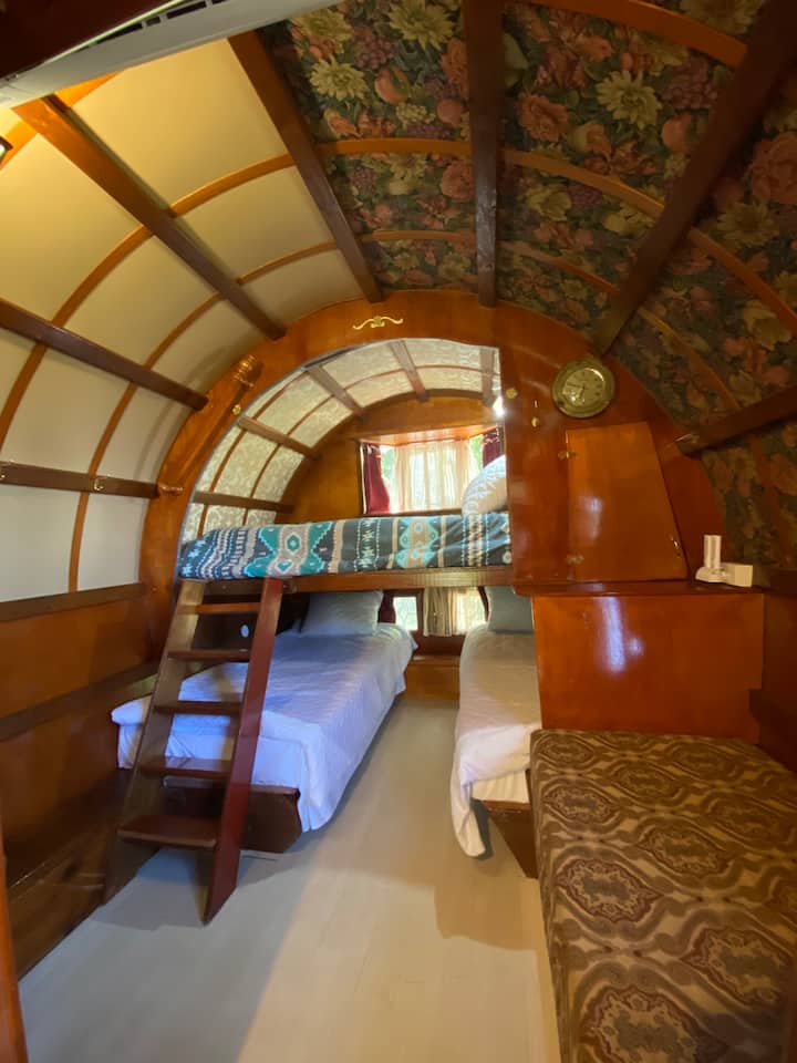 Gypsy King Wagon - Maleny