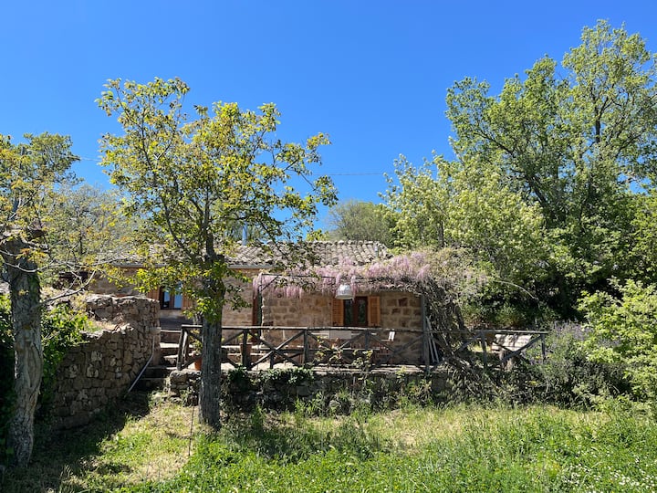 La Gisamìa. Pure Nature. - Italy