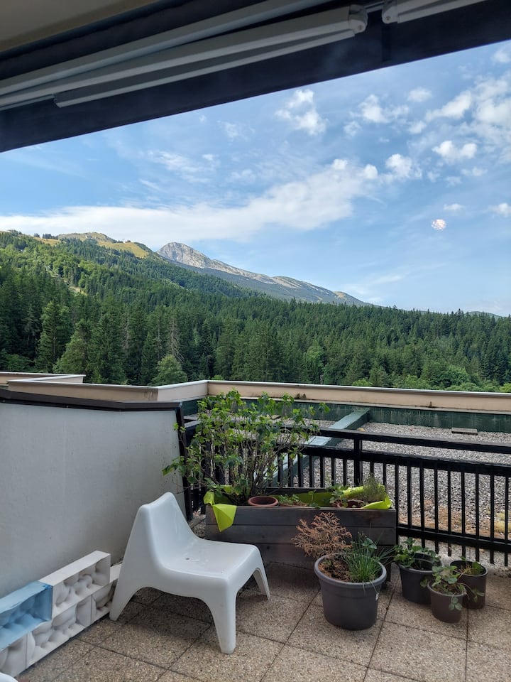 Grand Studio Vercors 35m2  Terrasse Plein Sud - Lans-en-Vercors