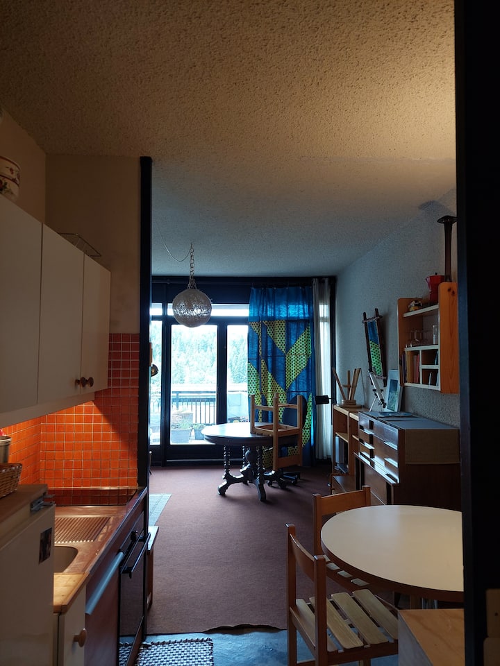 Grand Studio Vercors 35m2  Terrasse Plein Sud - Villard-de-Lans