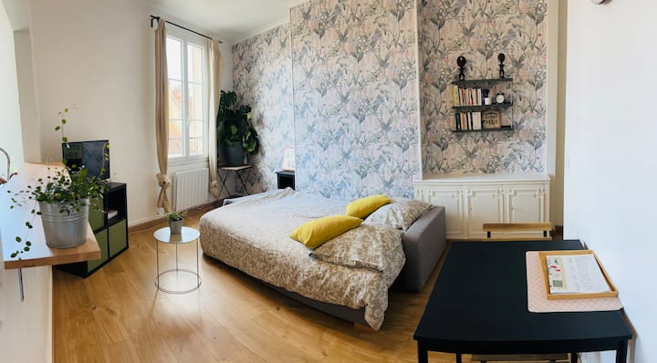 Appart Coeur De Ville Rue Piétonne Insead - Fontainebleau