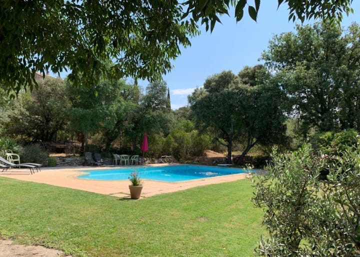 Au Coeur De La Provence Verte. - Saint-Maximin-la-Sainte-Baume