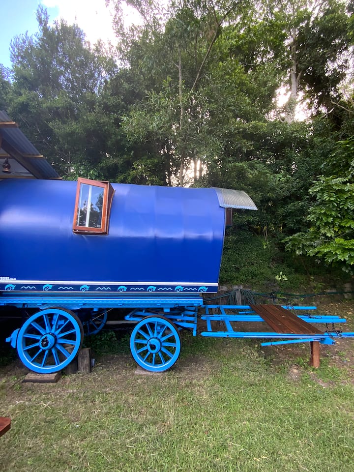 Gypys Queen Wagon - Landsborough