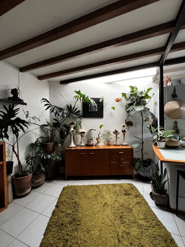 Urban Cabin In Cholula - Puebla