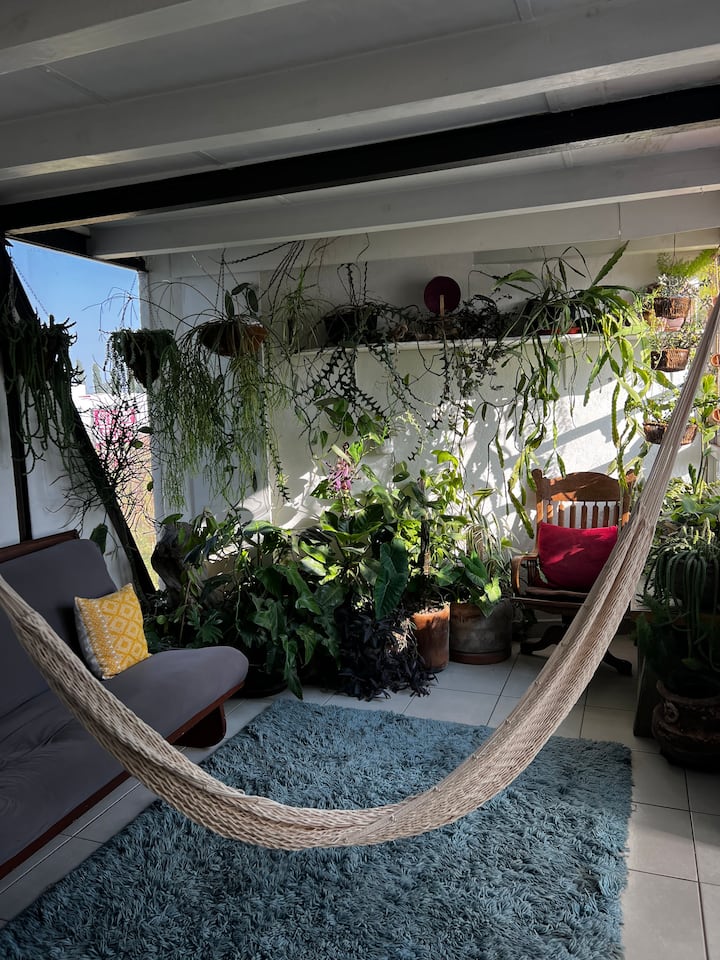 Urban Cabin In Cholula - Puebla