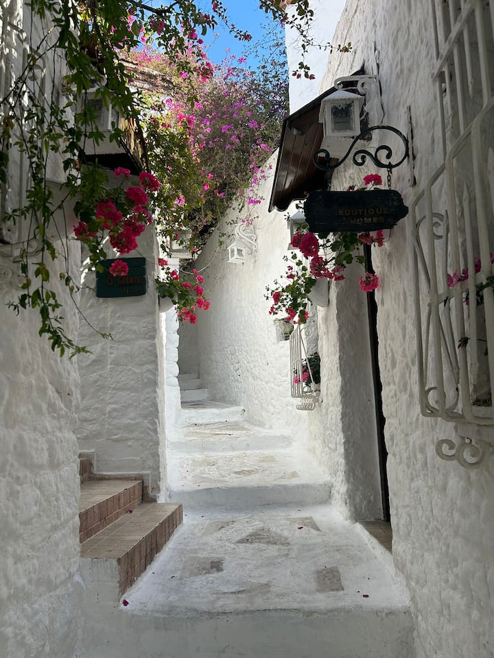 8 Oda: Old Town 2-story Stone (Antique House) - Marmaris