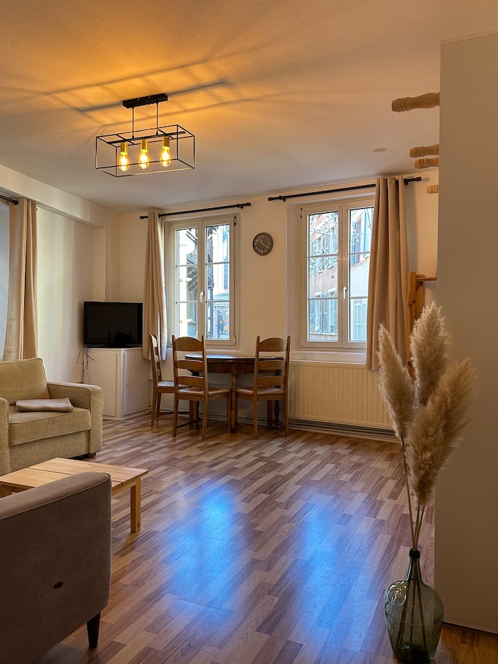 La Suite Martin Schongauer - Colmar