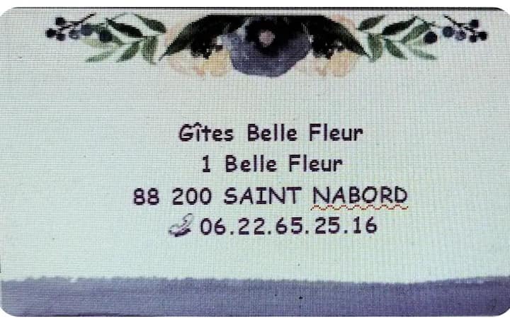 La Roulotte De Belle Fleur - Chauffée/climatisée - Remiremont