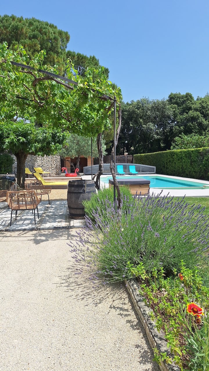 Sous Le Mûrier Monteux Entre Avignon Et Mt Ventoux - Monteux