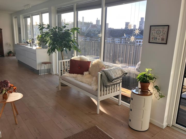 Central Penthouselejlighed Med Tagterrasse - Copenhagen