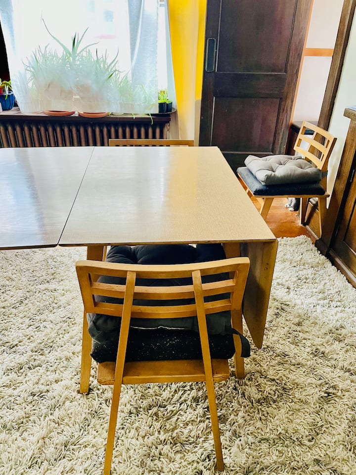 South Side Charm - Vintage Chic, Private Room - Minneapolis, MN