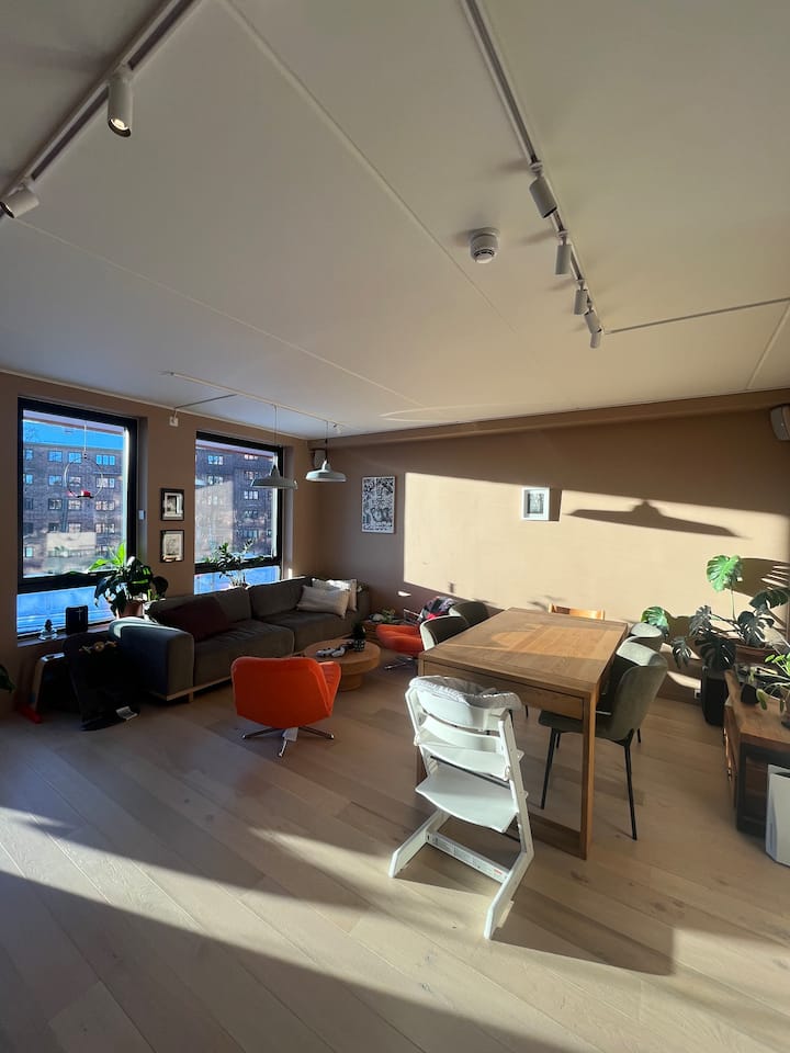 Cozy Apartment - Oslo