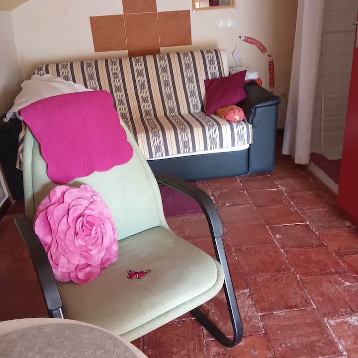 Studio Climatisé Lamalou Avec Jardinet Partagé - Lamalou-les-Bains