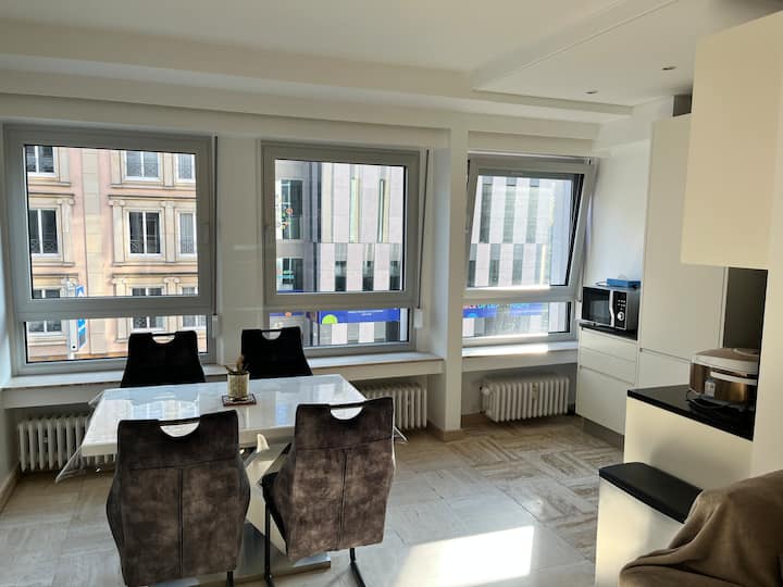 Modern Renovated City Center Studio With Park View - Luxembourg