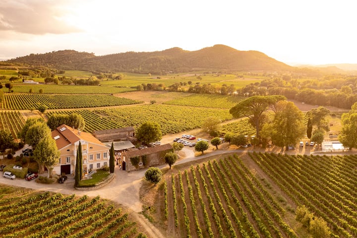 Gîte Bleu, Gîte De Charme Au Milieu Des Vignes - Les Arcs