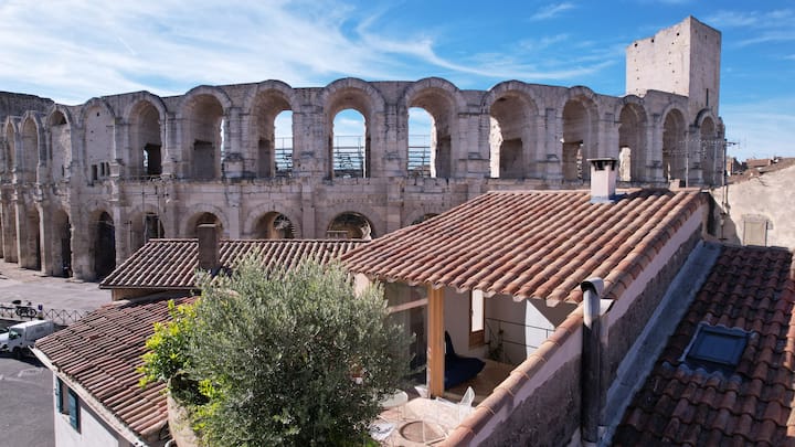 Maison Lùs - Un Bassin Sur Les Arènes - Arles - Place du Forum