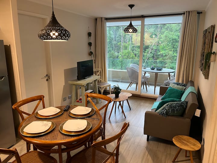 Departamento Pucón 5 Personas - Pucón