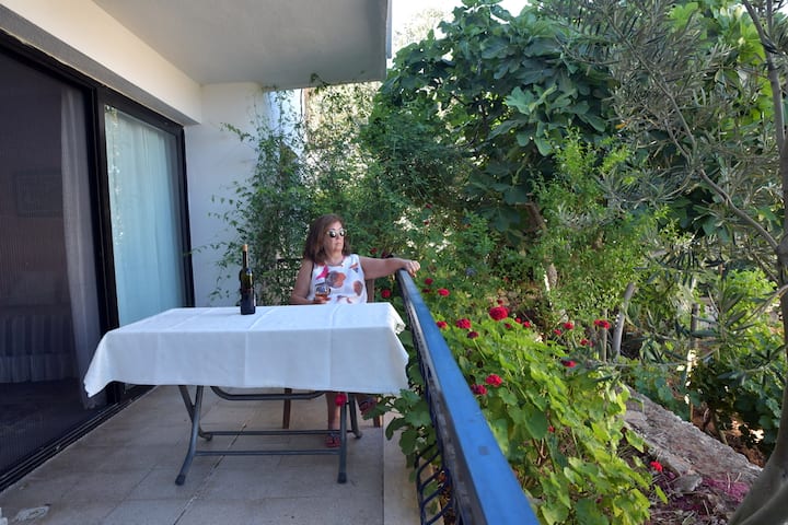 Quiet 1br Garden Apartment, Semi Basement Level - Karaburun