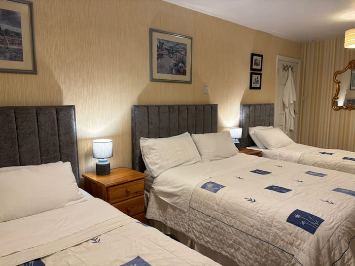 Avondoyle Large Upstairs Family Rm2 - Limerick