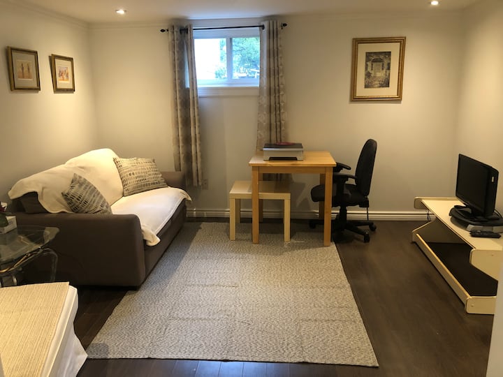Bright Executive Suite, Free Parking, 20 Min To Dt - Toronto