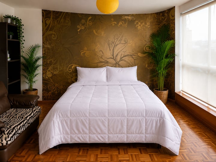 Suitable Retro Historic Apt Reforma Cdmx - Alamos