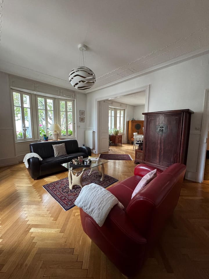 Le Grand Bartholdi - Colmar