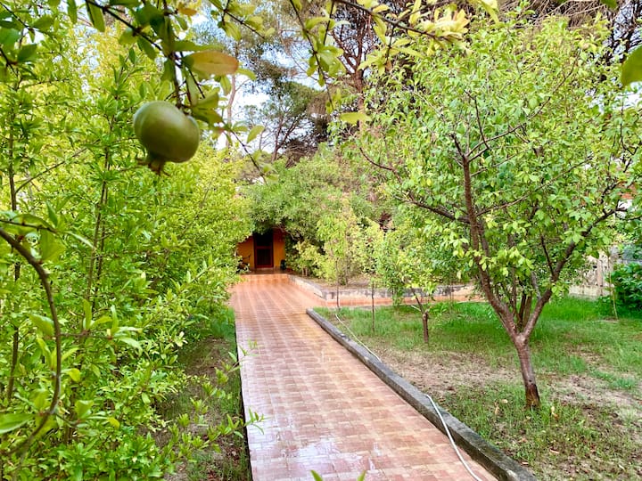 Charming Beach House With Big Garden - Golem