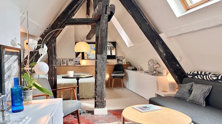 Appartement Sous Les Toits / Hypercentre - Paris
