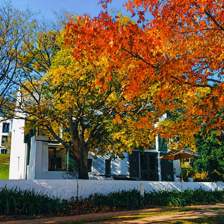 The Dairy,hemel En Aarde Valley,hermanus. - Onrus