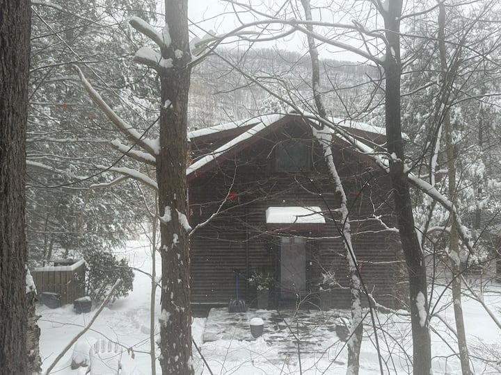 Catskill Mtn Streamside Getaway - Phoenicia, NY