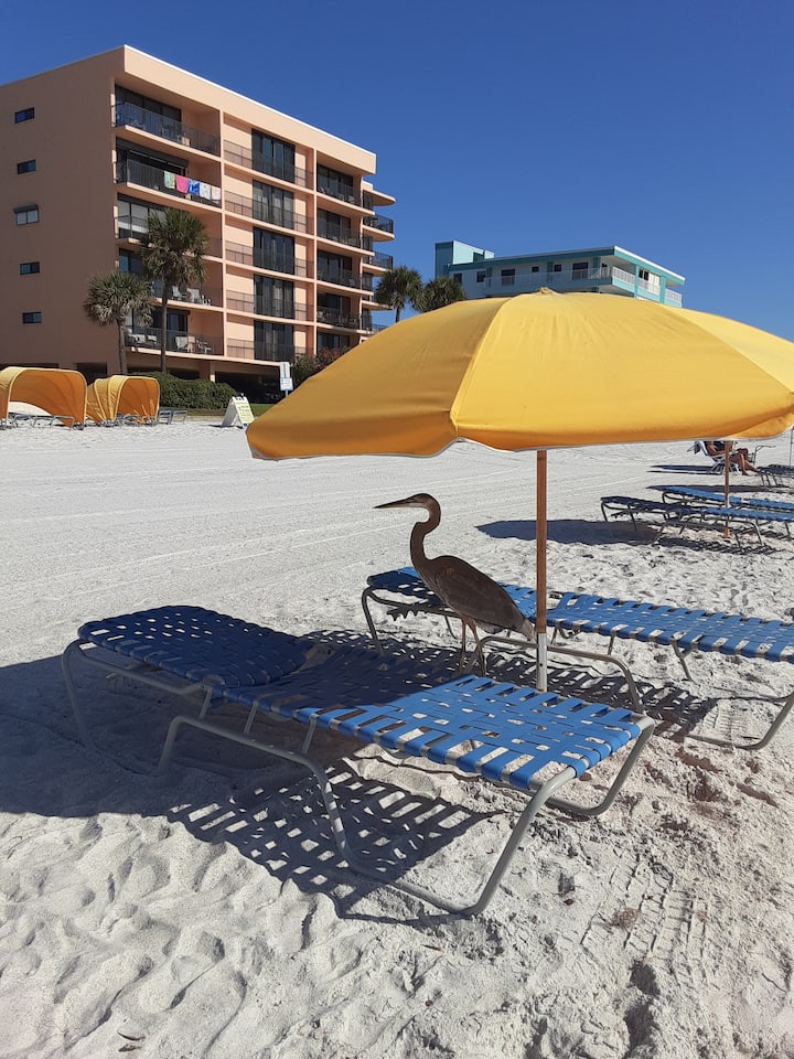 Madeira Bonita - Madeira Beach, FL