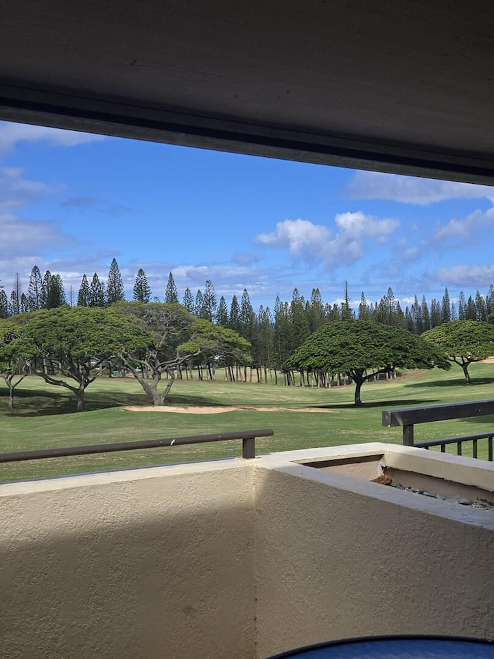 Special Rates, Villa With Ac, Golf, Near Beach! - Kapalua, HI