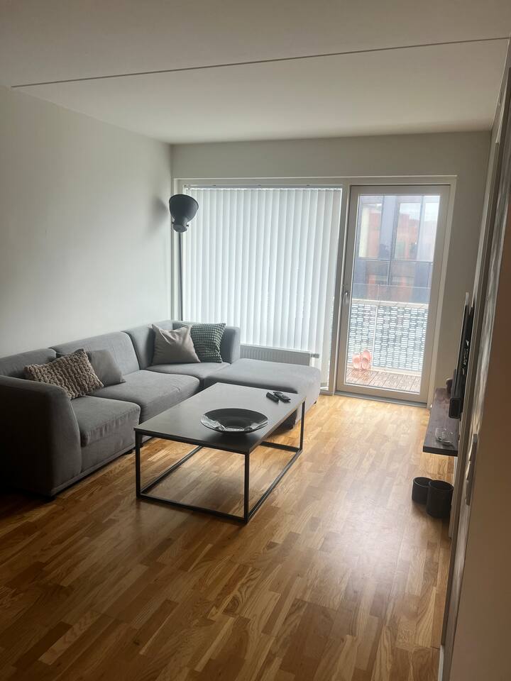Lys Og Indbydende Lejlighed - Copenhague